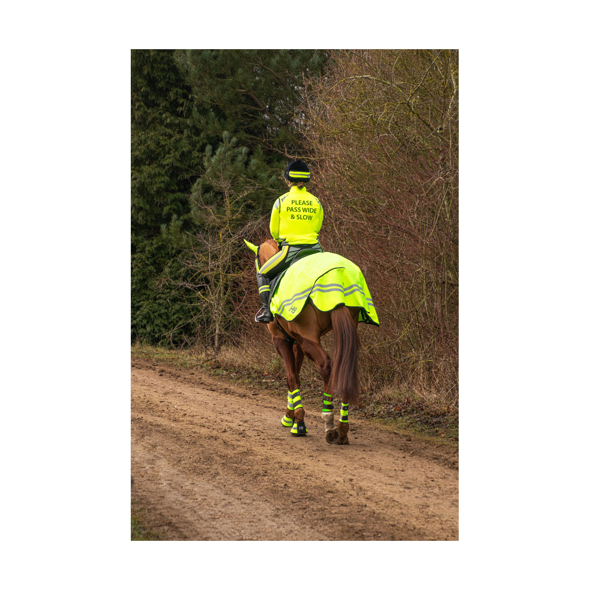 Reflector - PONY RIDERS